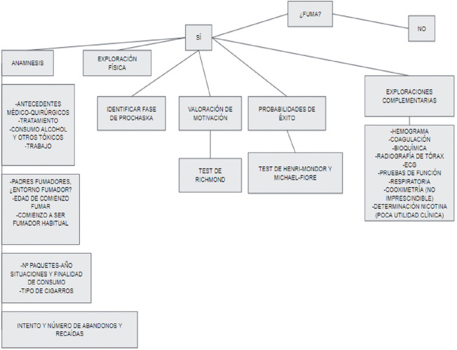 MAPA CONCEPTUAL de las TIC - ¡Guía RÁPIDA y FÁCIL!
