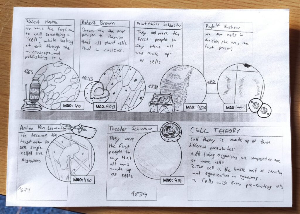 Línea del TIEMPO de CIVILIZACIONES Mesoamericanas